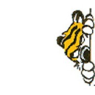 Make Custom Thunderbird Labels Stand Out | TwisterMc